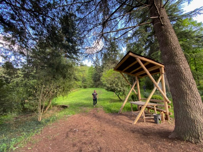 Ijevan Dendropark: A Must-Visit Arboretum in Ijevan, Armenia