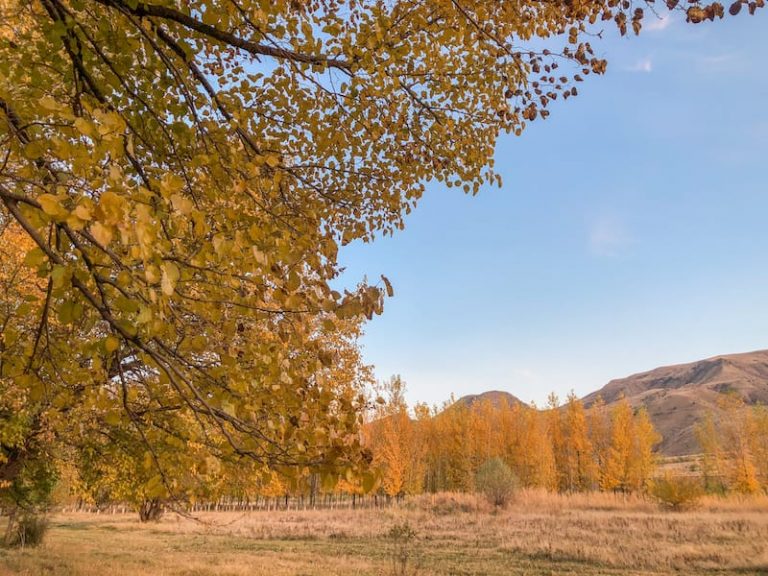 10 Delightful Things to Do During Autumn in Armenia