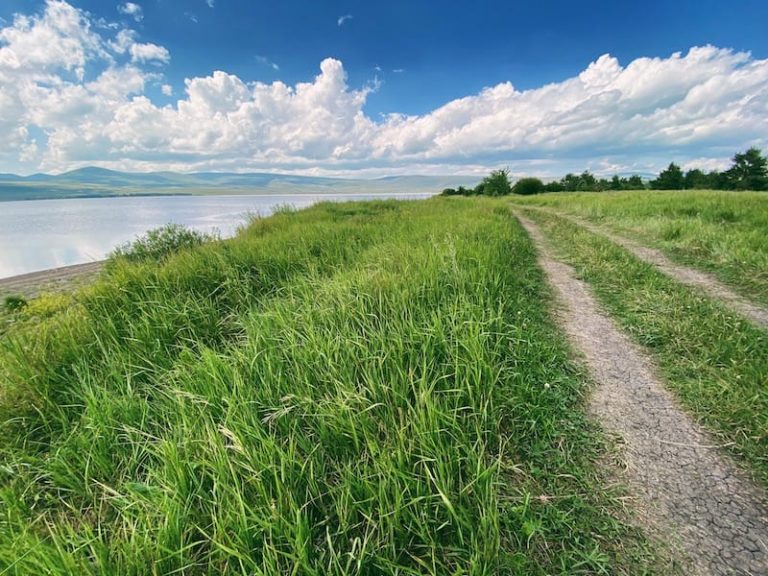 How to Visit Lake Arpi National Park (and Why You Should!)