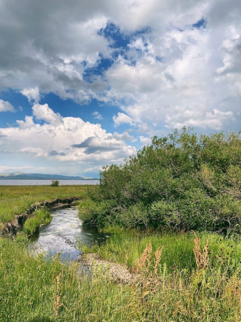How to Visit Lake Arpi National Park (and Why You Should!)