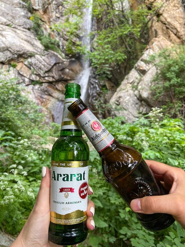 Arevik National Park: One Absolutely Perfect Travel Day (+ Tips)