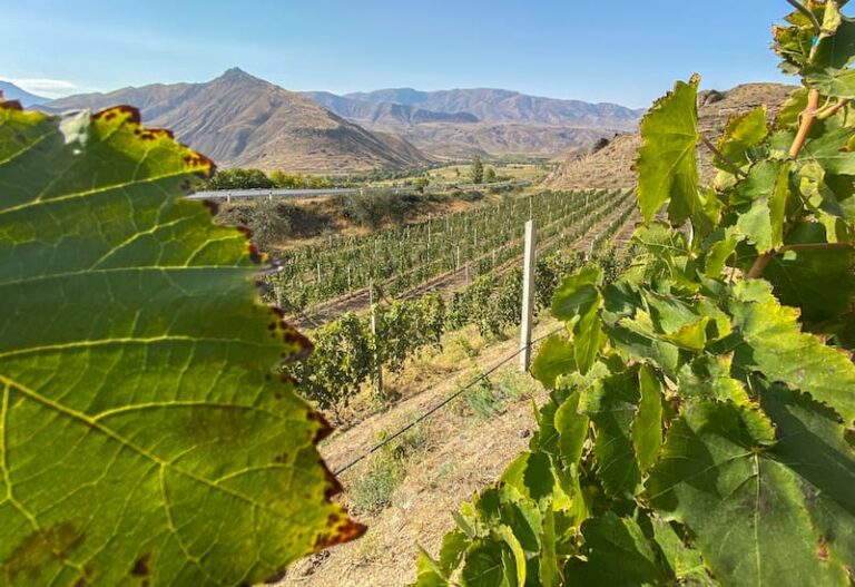 12 Unforgettable Things to Do in Areni Village (and Nearby!)