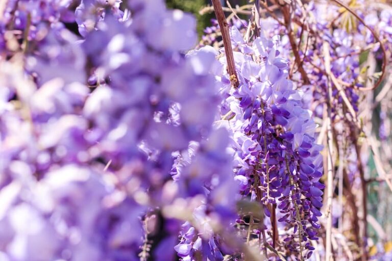 Spring in Armenia: What to Know, Tips, & Places to Visit
