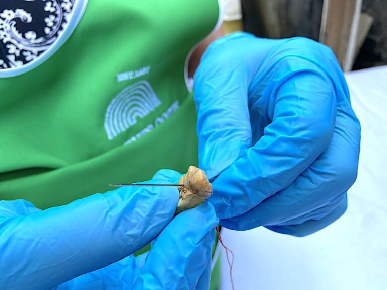 Armenian Sujukh Recipe (Sweet Sharots): How to make & More!